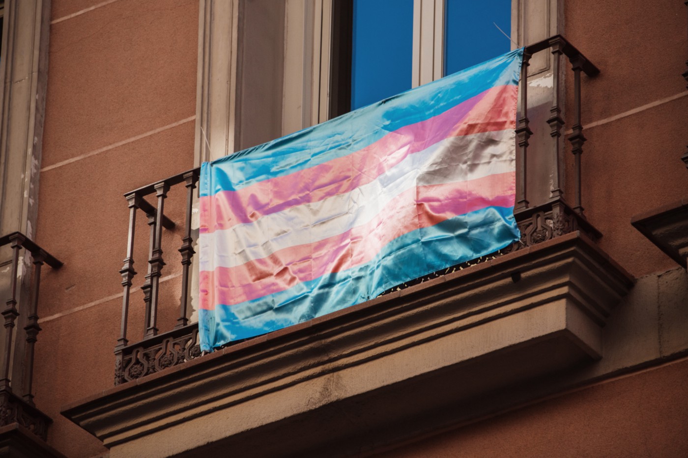 Trans Communities Are Demonstrating Incredible Resilience - Forward ...